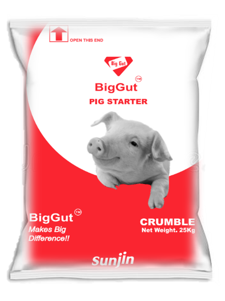 BigGut Pig Starter – Sunjinfeed